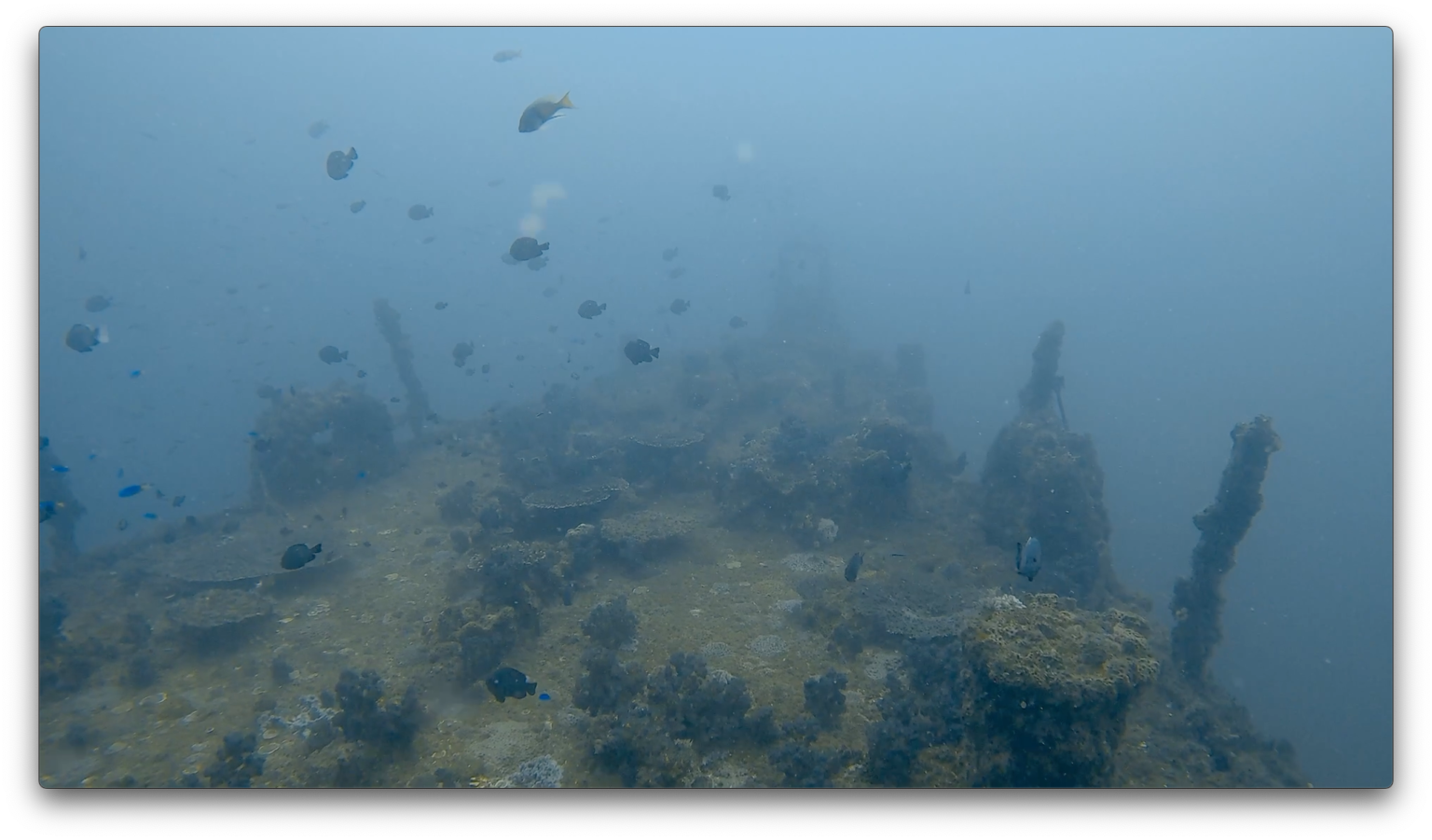 Exploring a guided missile destroyer: diving the wreck of the HMAS ...
